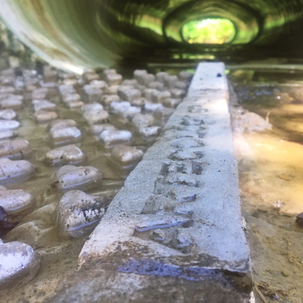 Caring for the environment – Island Roads